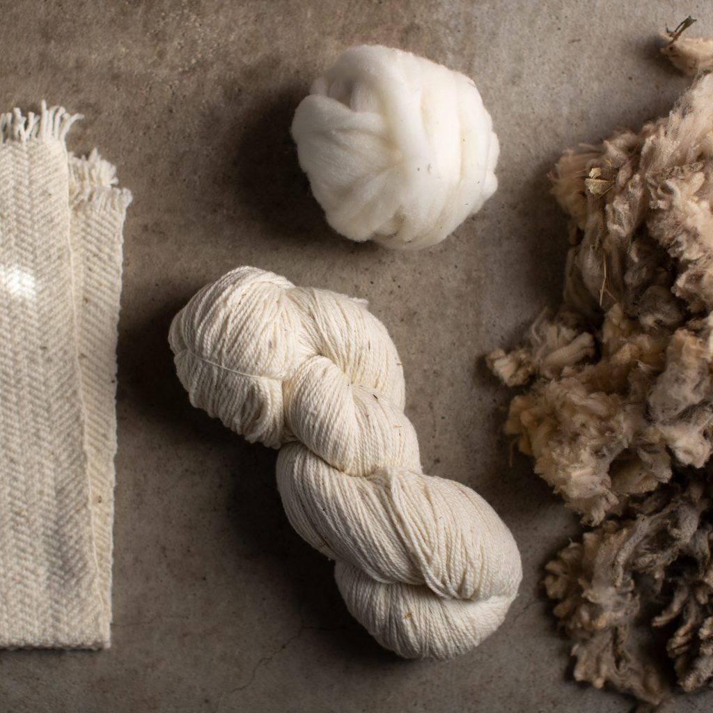 Prairie Fibreshed – Local Fibre. Local Colour. Local Labour.