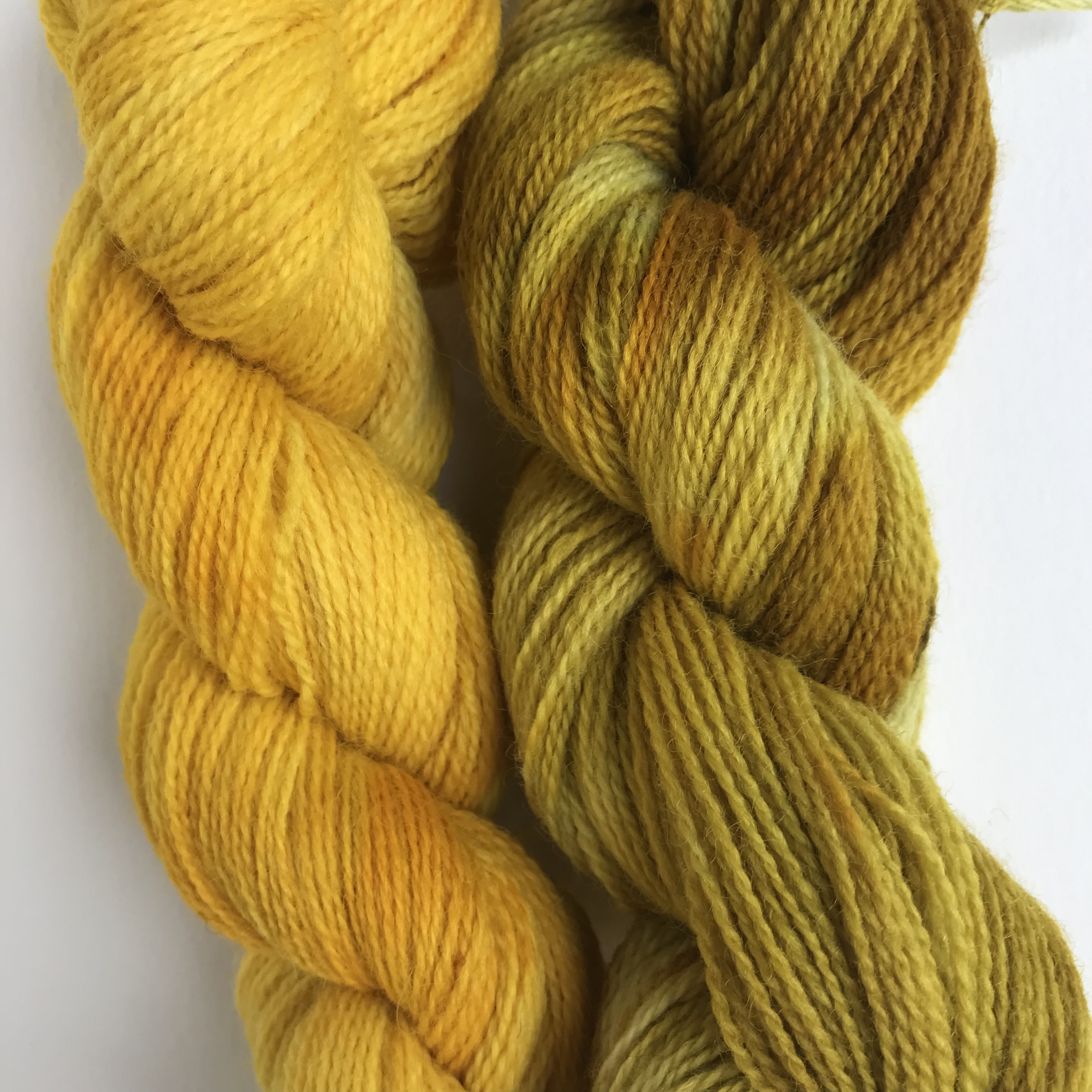 Prairie Fibreshed – Local Fibre. Local Colour. Local Labour.